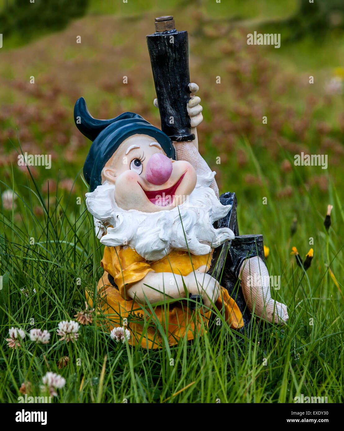 Funny home decor hi-res stock photography and images - Alamy