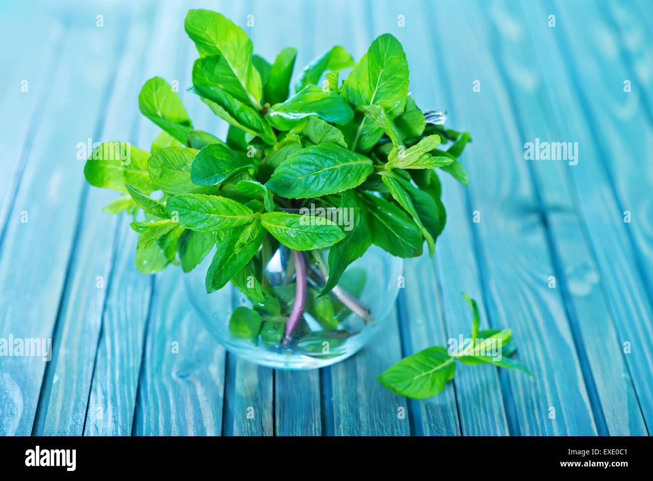Bouquet fresh mint in vase hi-res stock photography and images - Alamy
