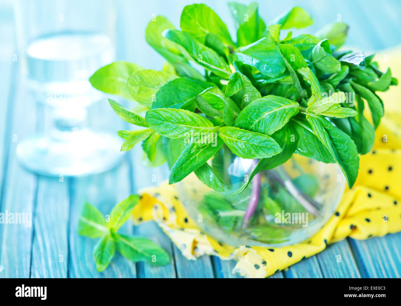 Bouquet fresh mint in vase hi-res stock photography and images - Alamy