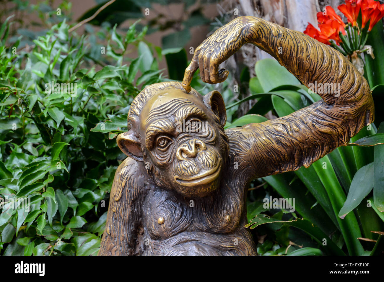 Statue of Chimpanzee Stock Photo - Alamy