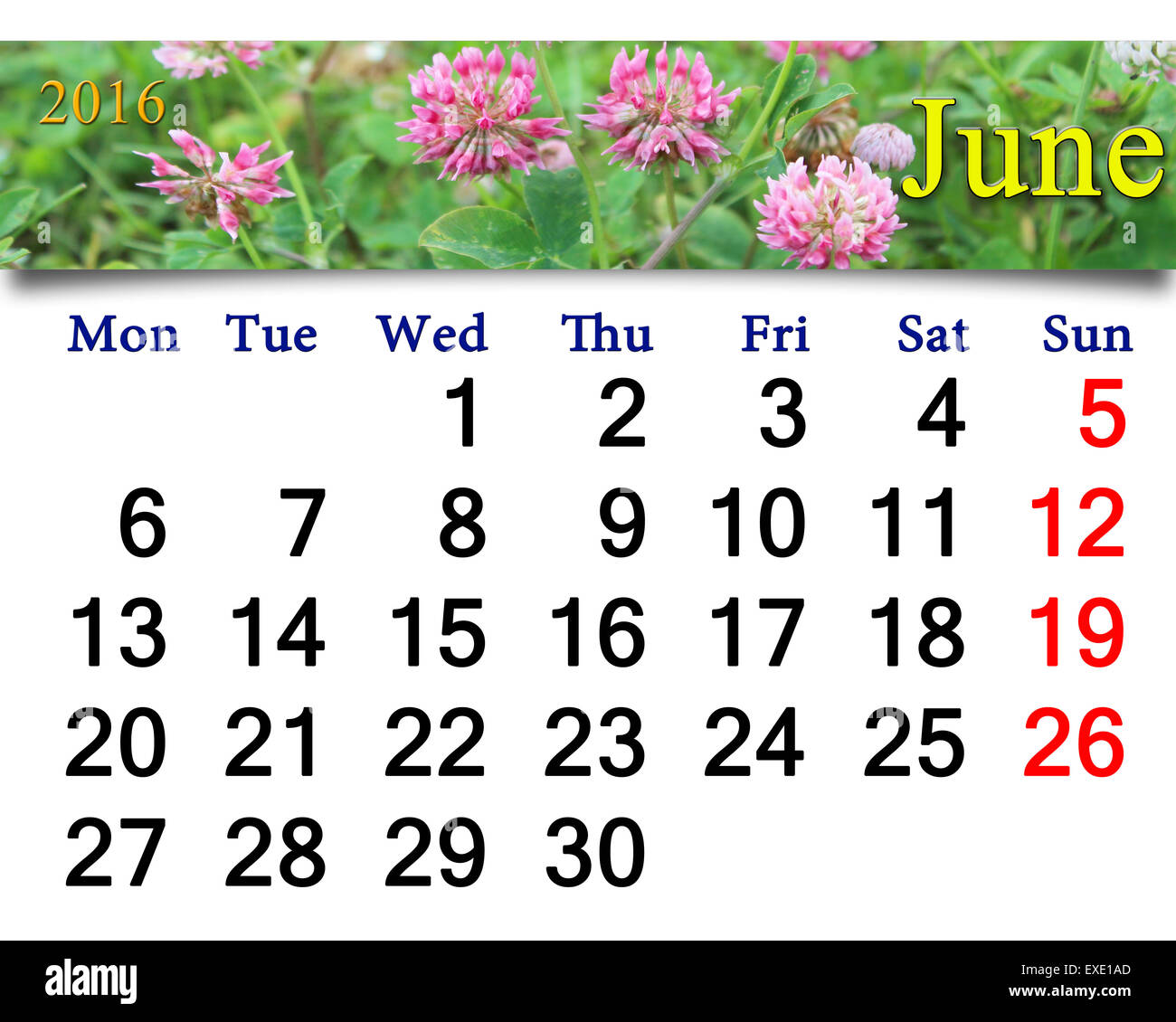 June grass hi-res stock photography and images - Alamy