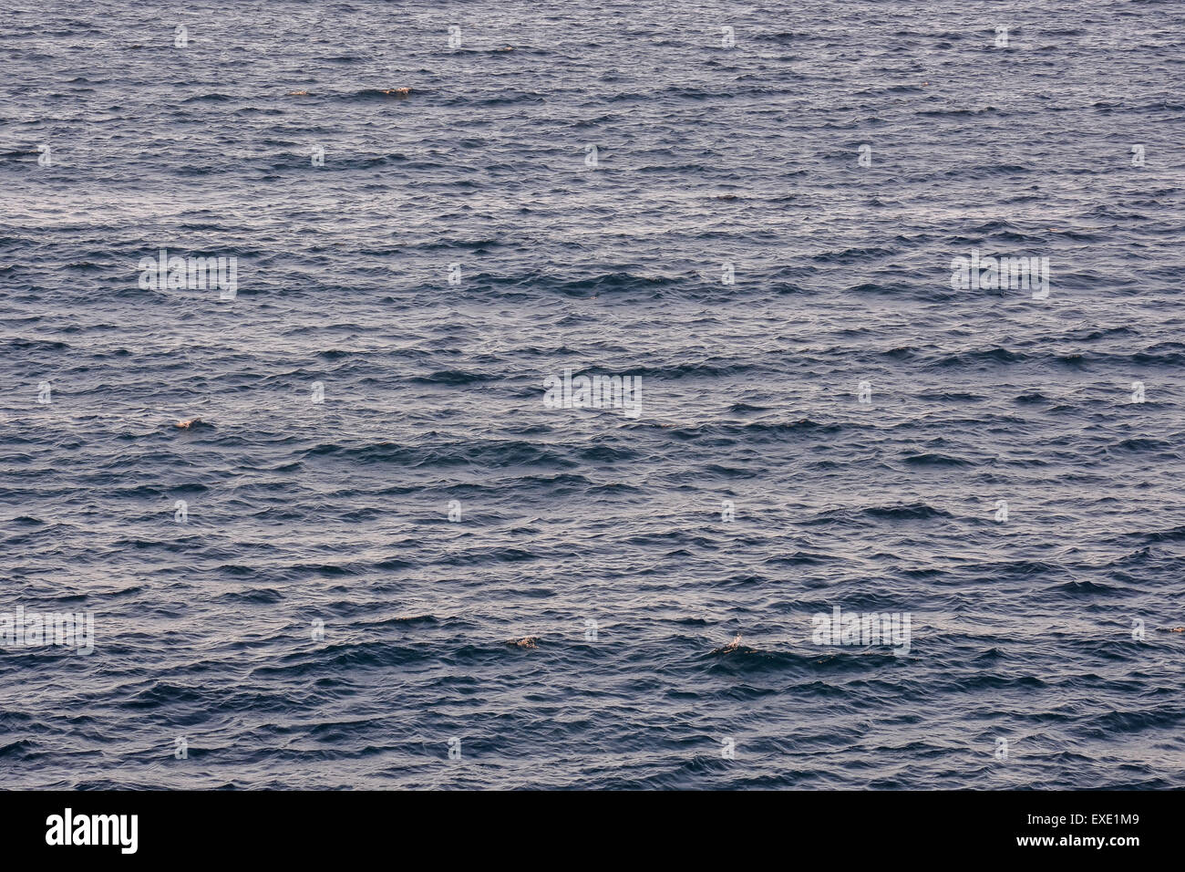 Detailed Texture Of Sea Water Stock Photo - Alamy