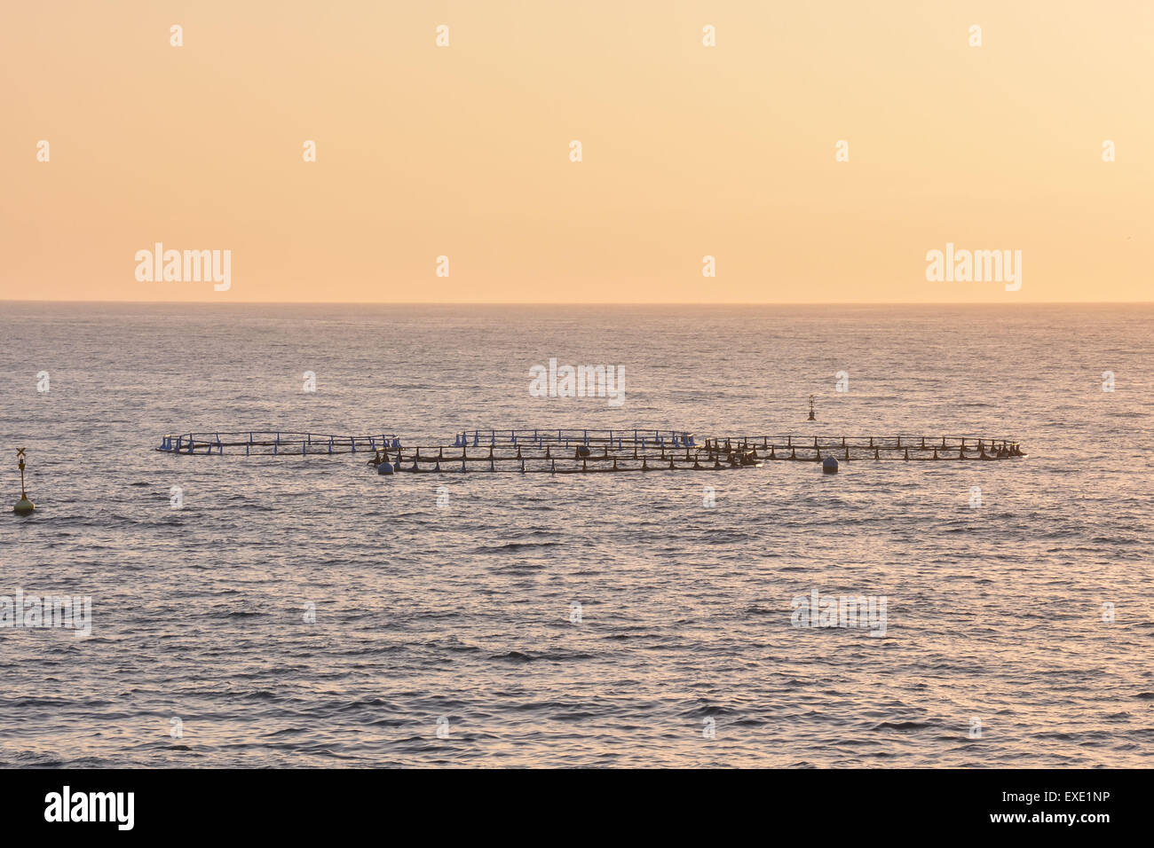 Fish Farm in the Atlantic Ocean Stock Photo - Alamy