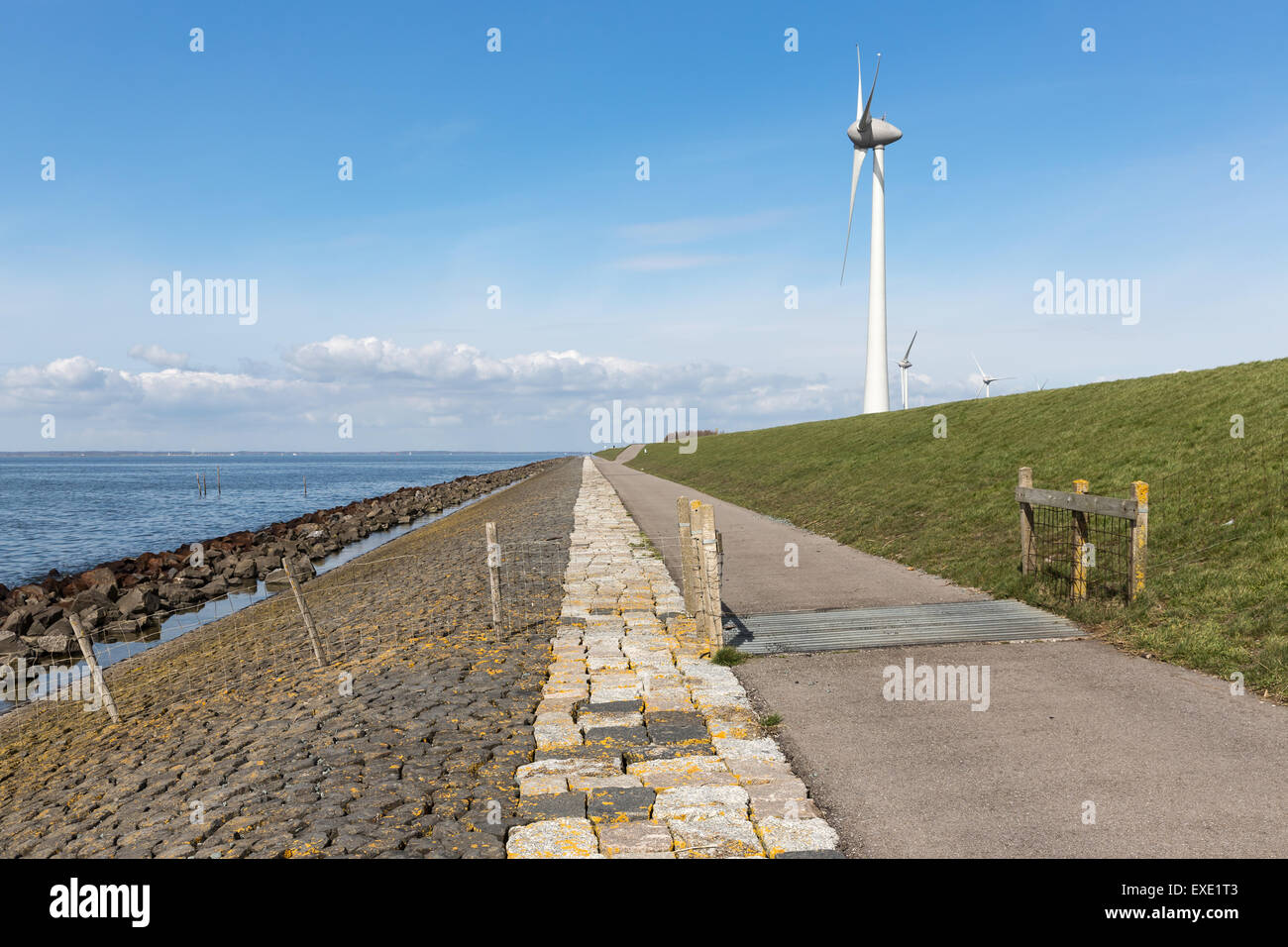 Cattle with wind turbines hi-res stock photography and images - Alamy