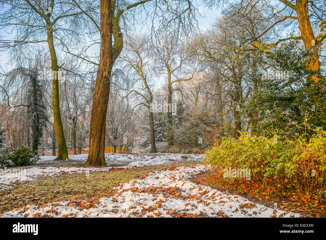 Snow on trees and foliage in fall park Stock Photo - Alamy