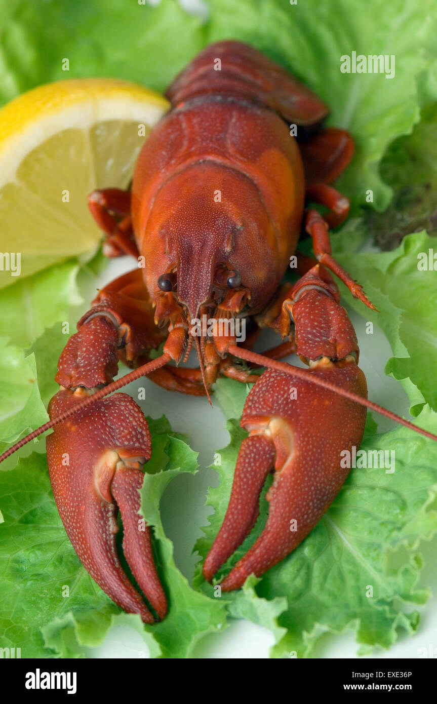 River thames fishing hi-res stock photography and images - Alamy