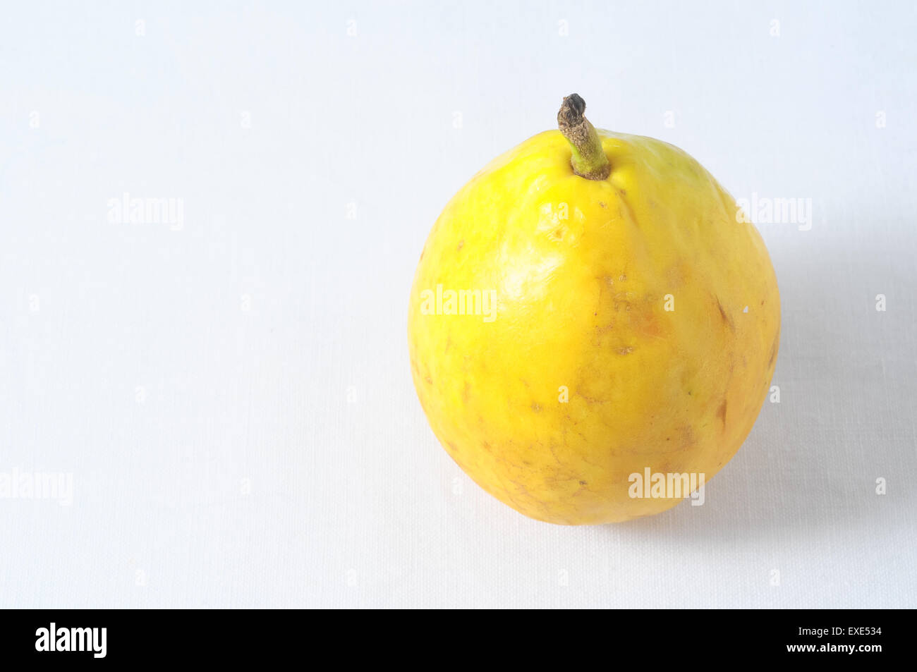 Guayaba fruit hi-res stock photography and images - Alamy