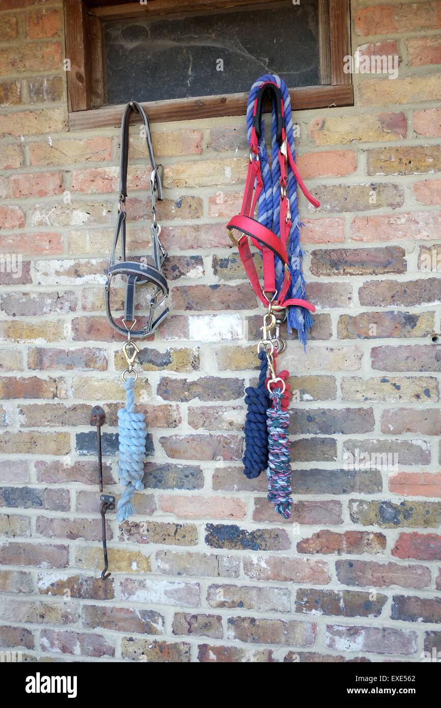 Horse harness hanging on stable hi-res stock photography and images - Alamy