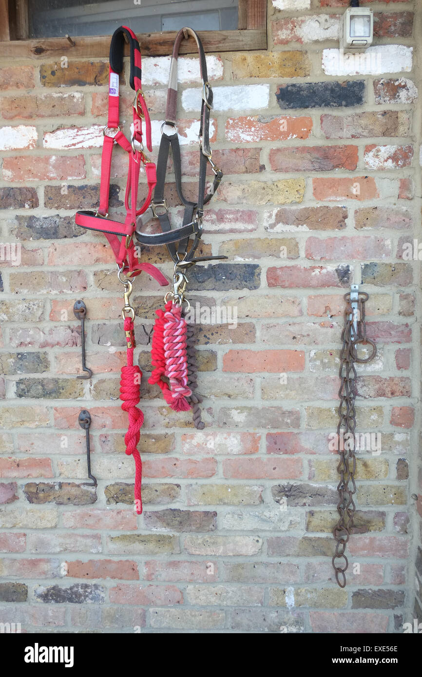 How To Hang Horse Harness On Wall at Lincoln Pie blog