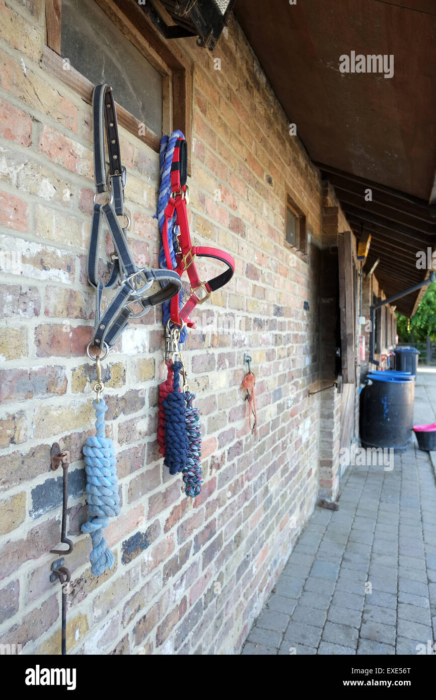 Stable wall hi-res stock photography and images - Alamy