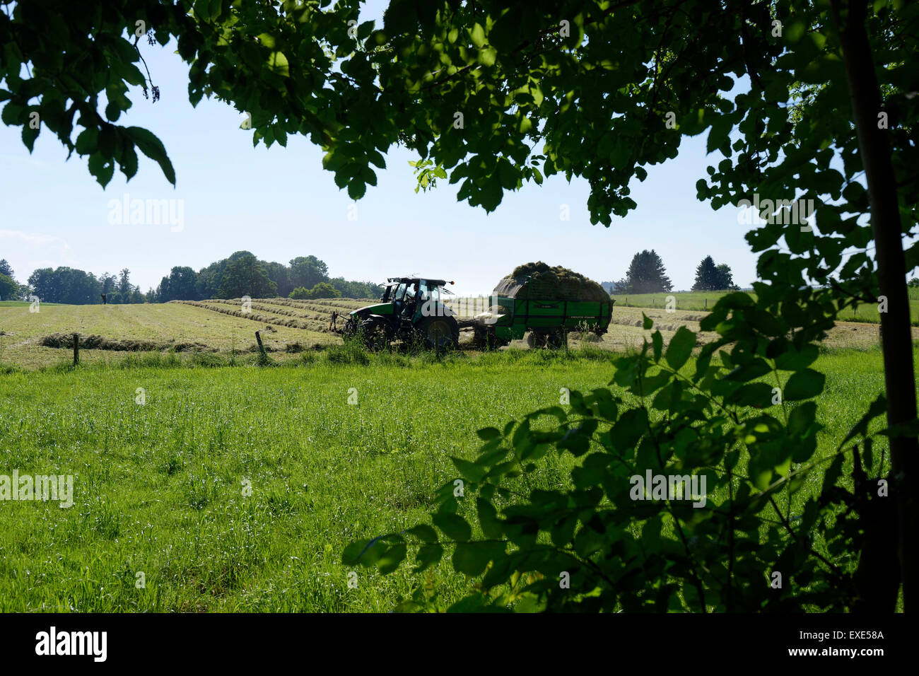 Carting straw hi-res stock photography and images - Alamy