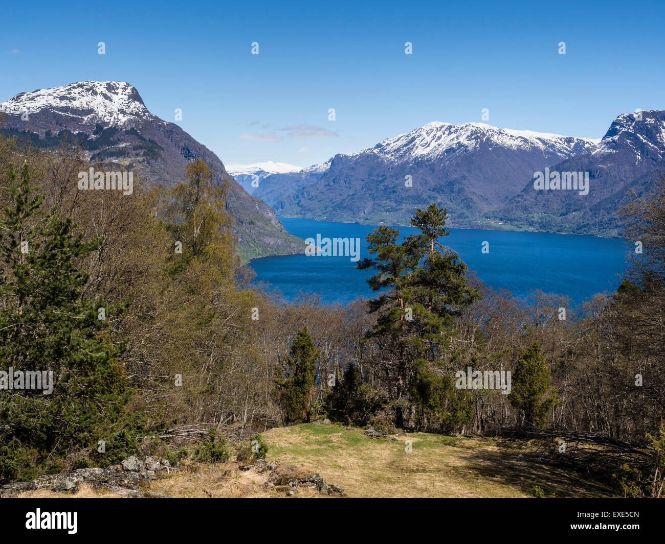 Side view towards left hi-res stock photography and images - Alamy