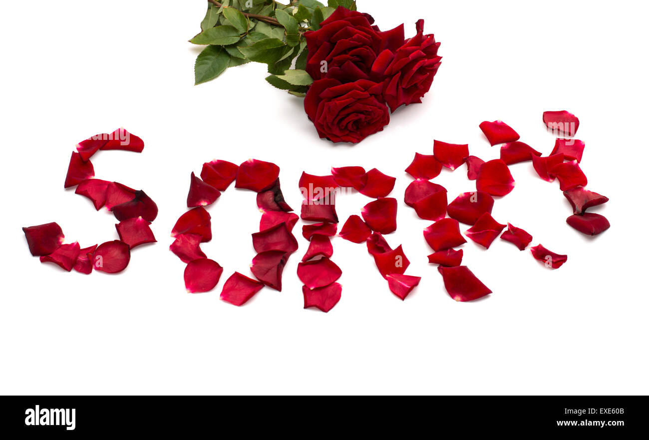 text "forgive" also bouquet of red roses Stock Photo - Alamy
