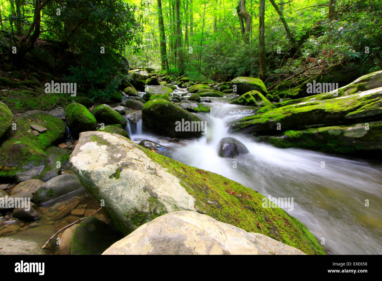 Rushing stream in the Great Smoky Mountains National Park Stock Photo ...
