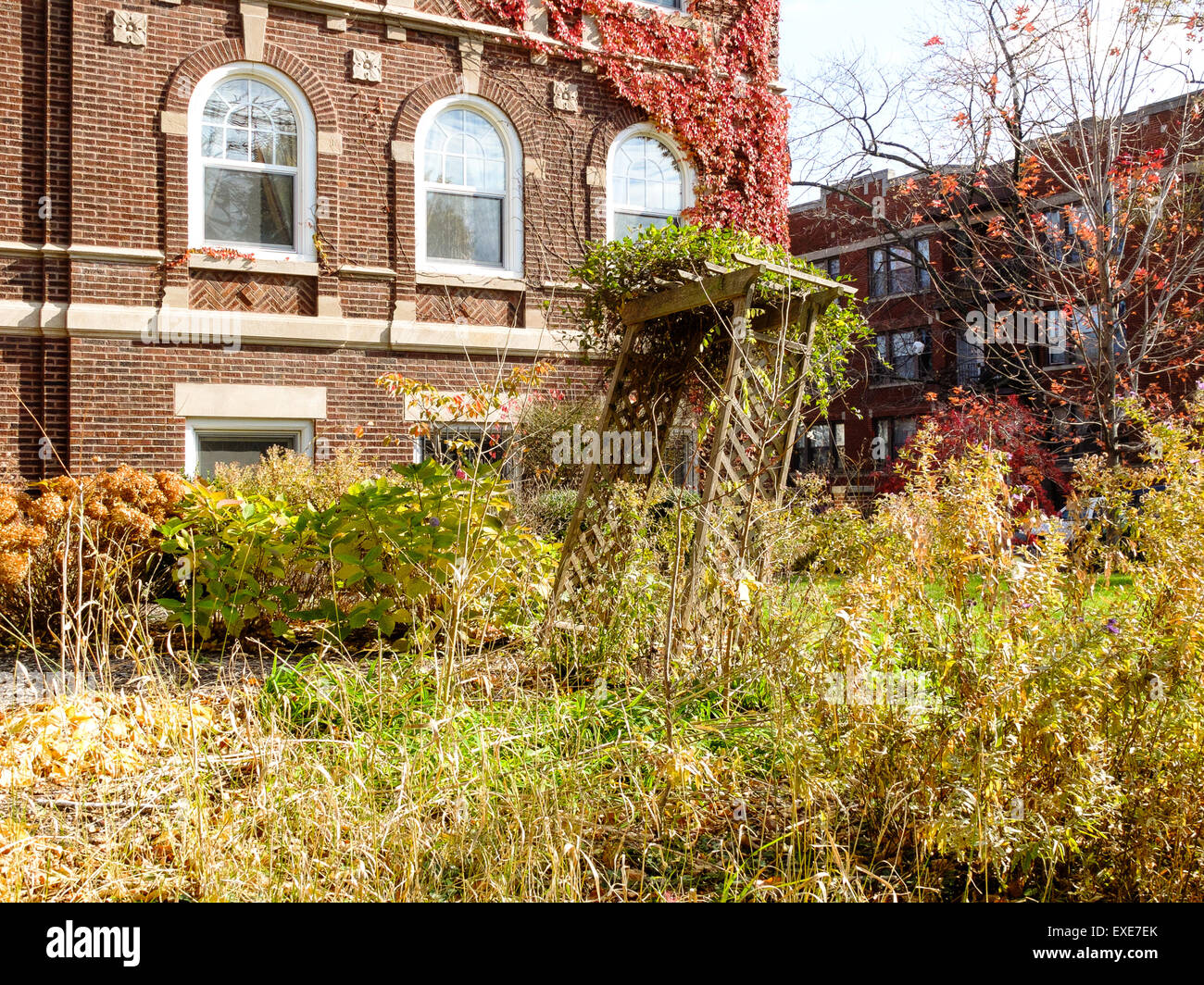 Chicago building garden hi-res stock photography and images - Alamy