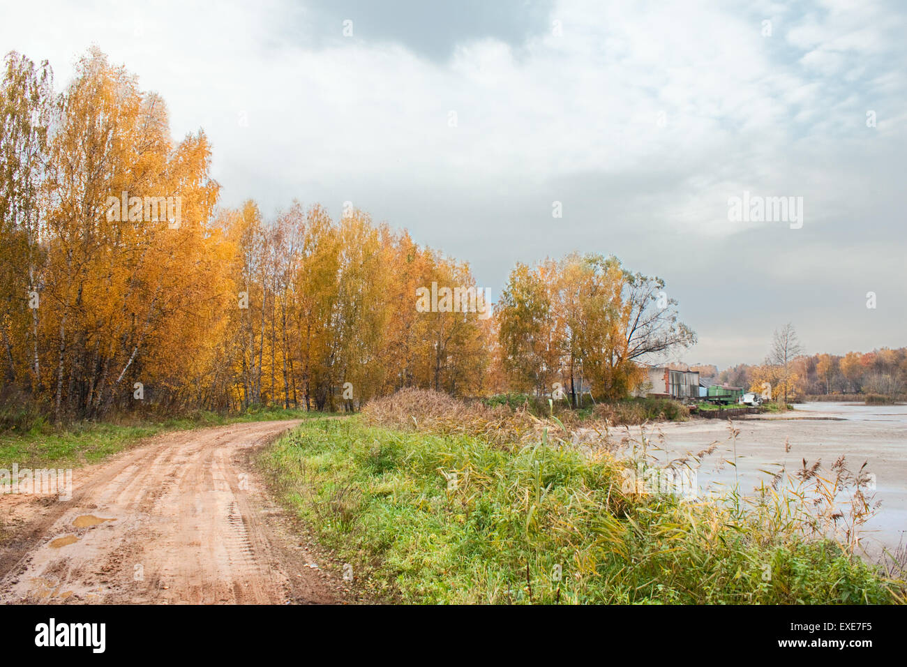 mellow autumn on river bank Stock Photo - Alamy