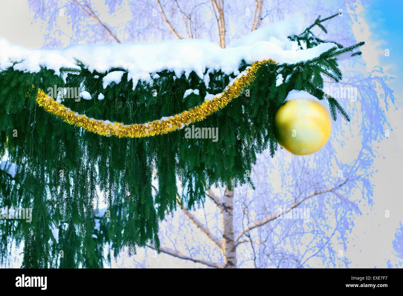 Decorated birch tree hi-res stock photography and images - Alamy