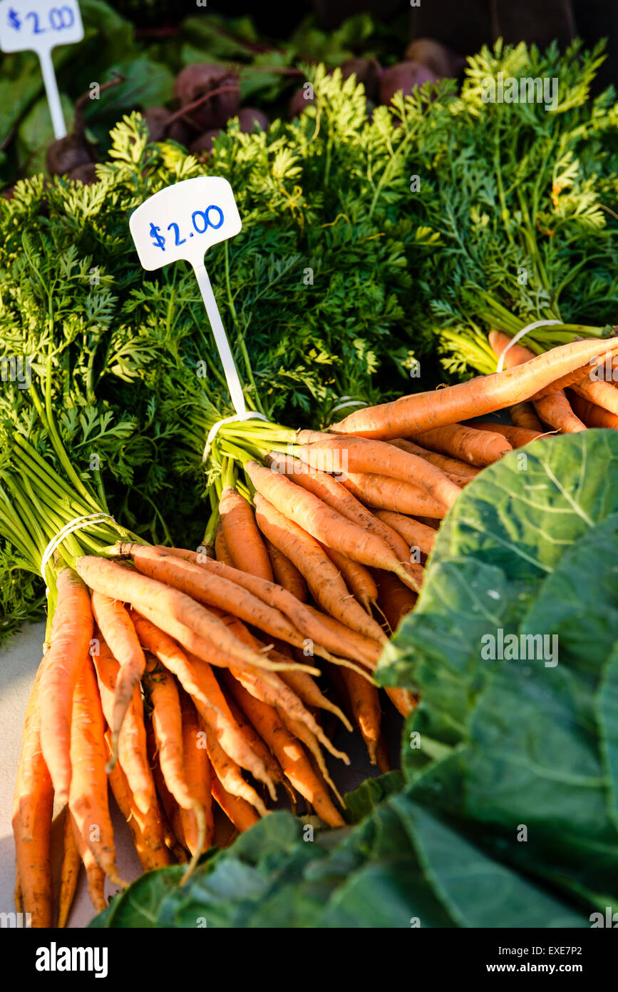 Bunches of fresh carrots at a local farmer's market Stock Photo - Alamy