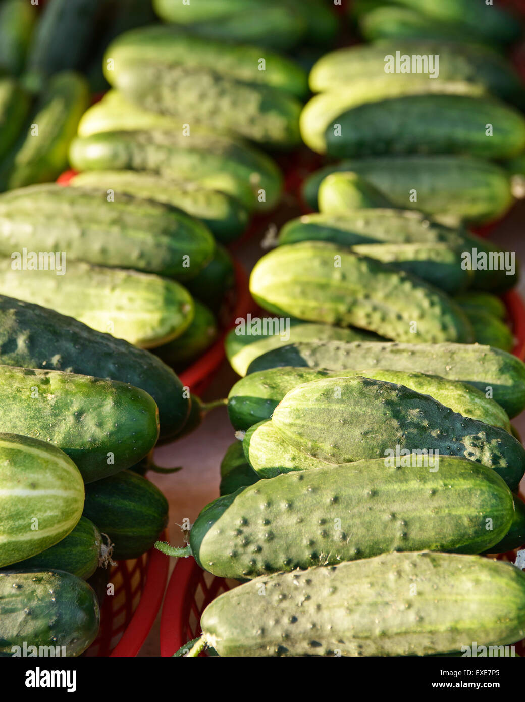 A variety of fresh cucumbers for sale at a local farmer's market Stock ...