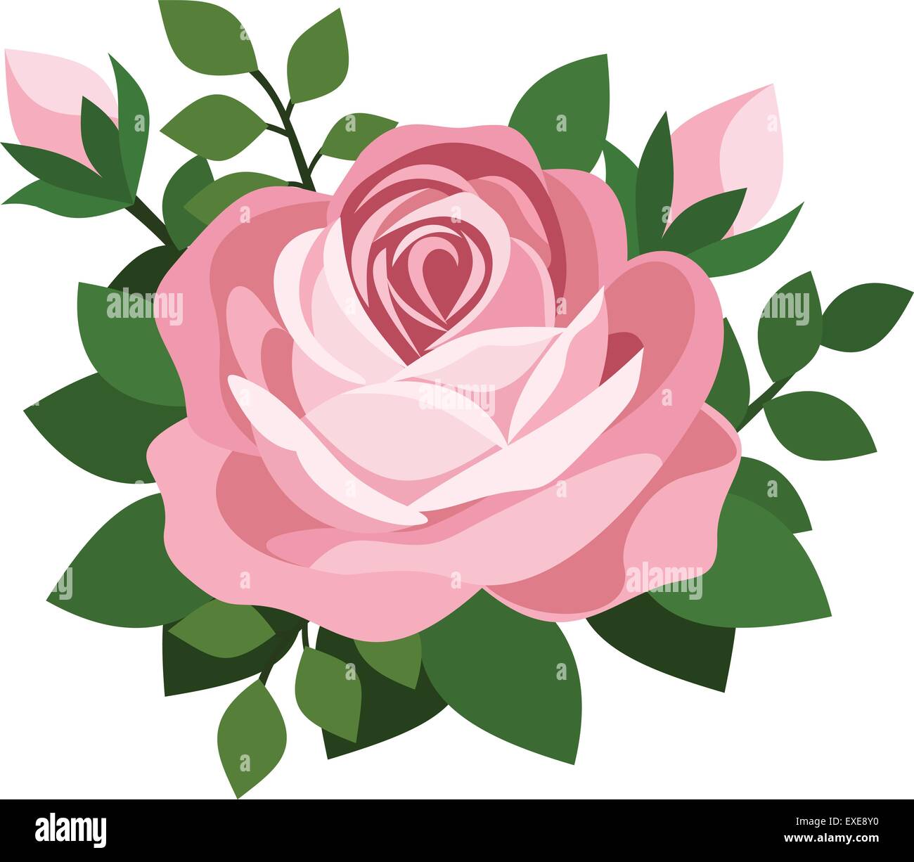 Pink rose. Vector illustration Stock Vector Image & Art - Alamy
