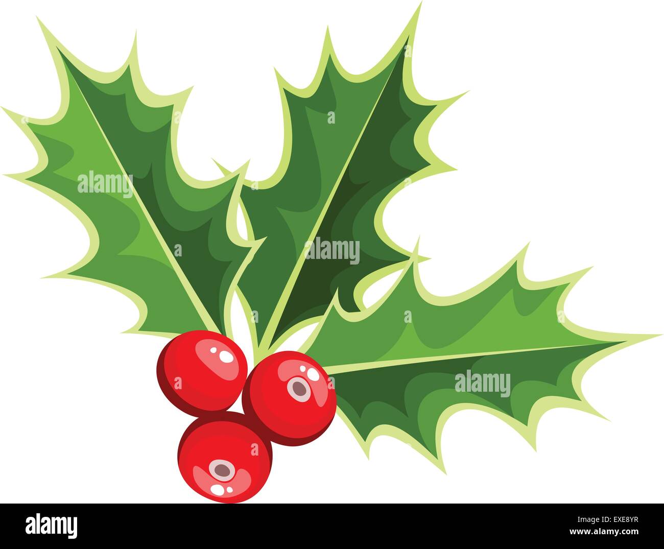 Holly drawing hi-res stock photography and images - Alamy