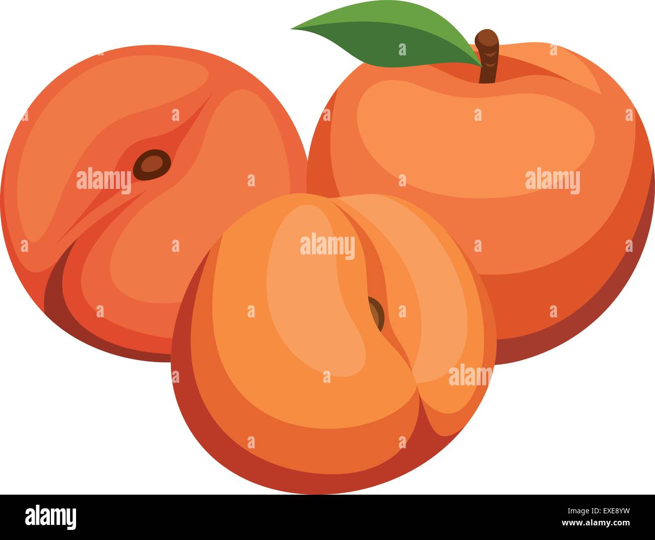 Three peaches. Vector illustration Stock Vector Image & Art - Alamy