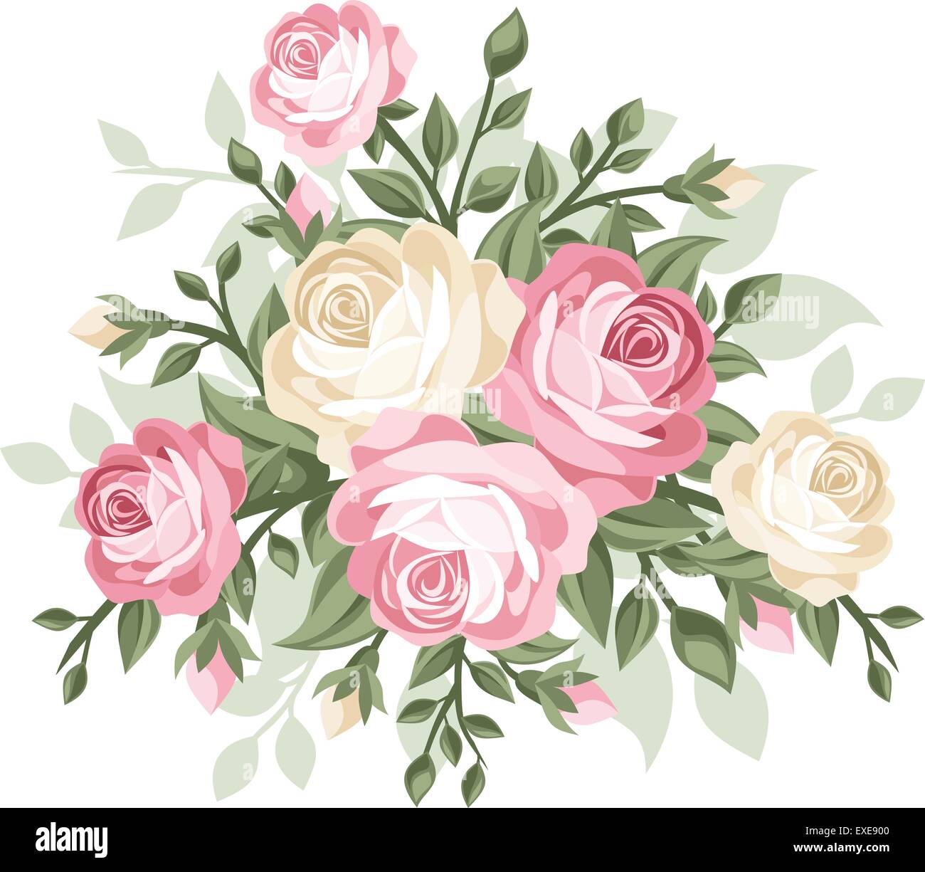 Vector illustration of vintage roses Stock Vector Image & Art - Alamy