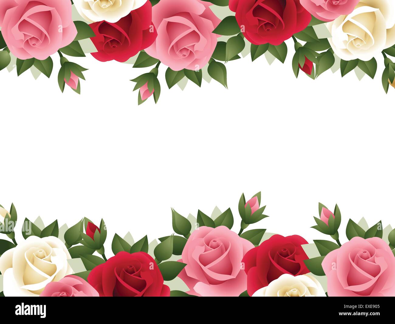Vector background with colored roses Stock Vector Image & Art - Alamy