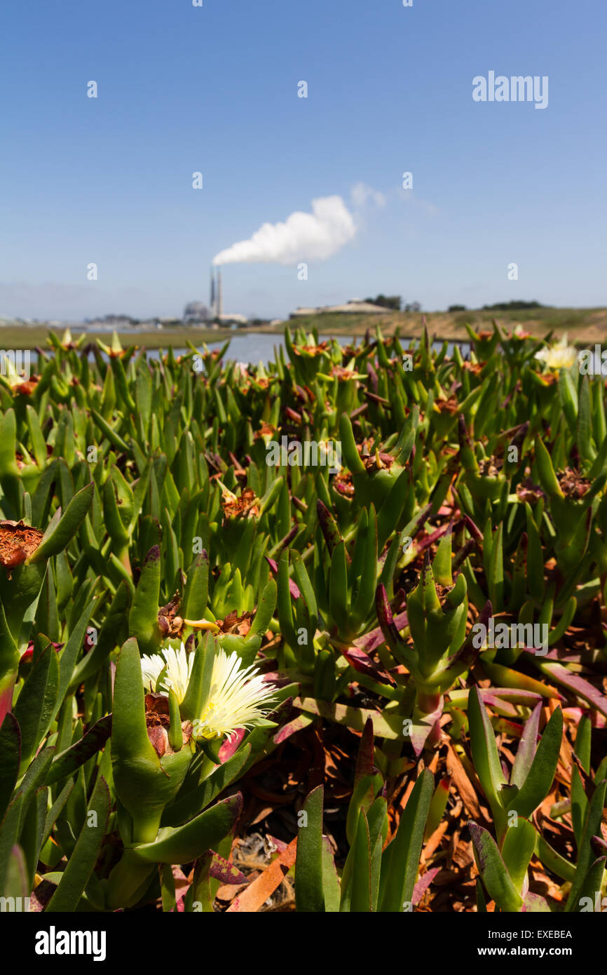 tall stacks used in a natural bass power plant in the Monterey Bay area ...
