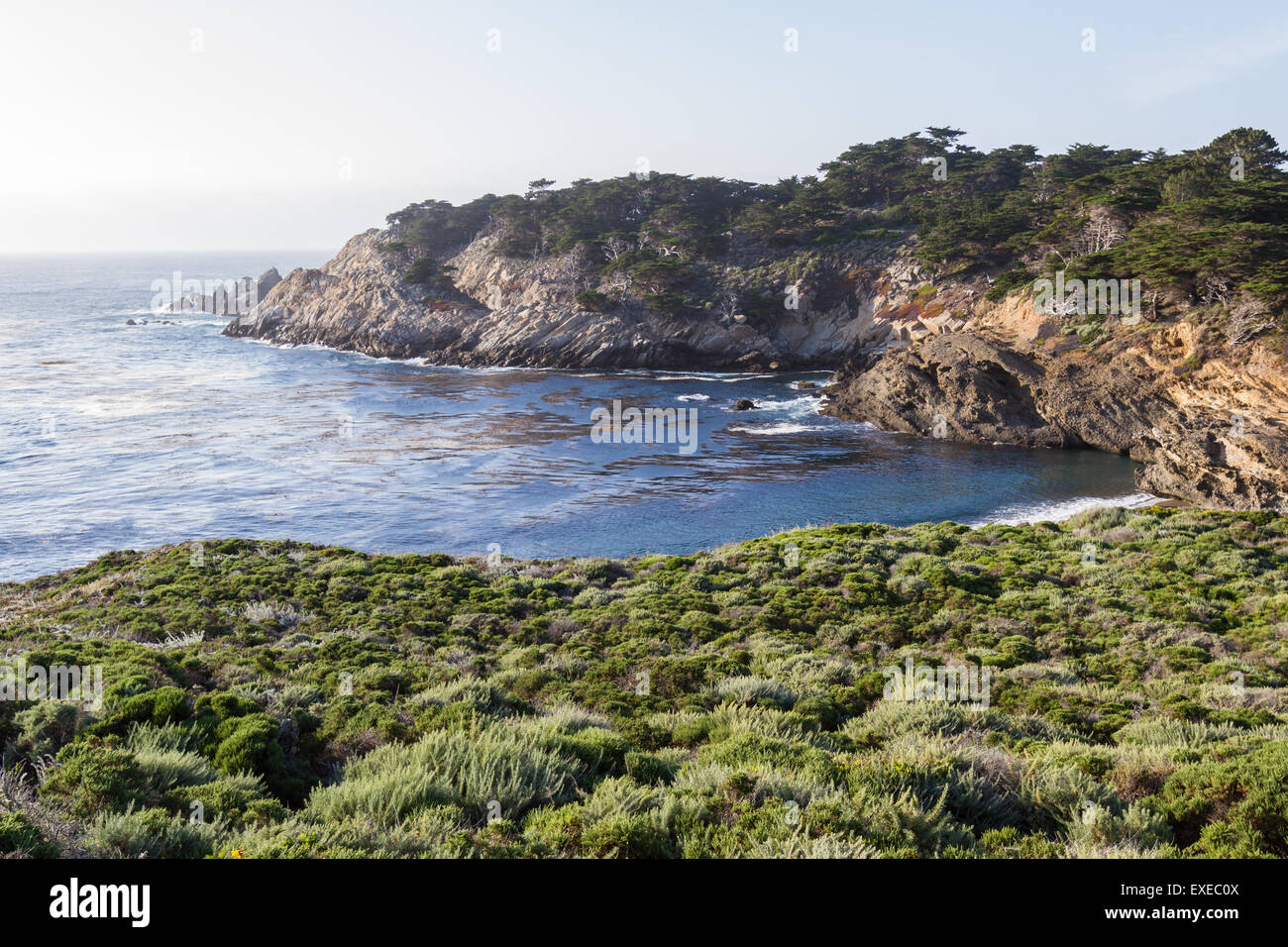 protected cove in the California coast lit by the setting sun for ...