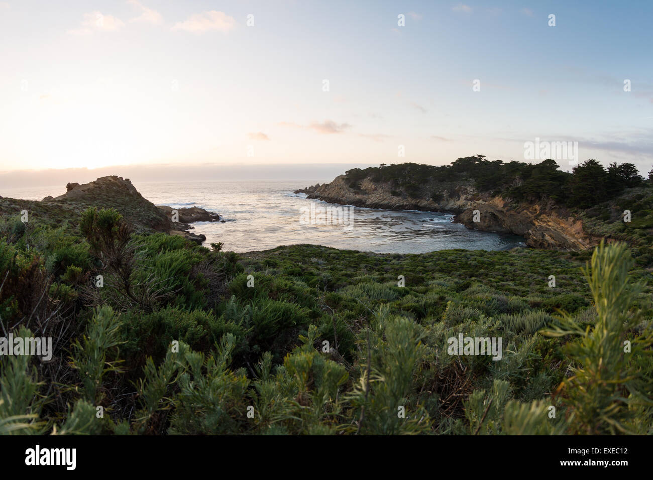 protected cove in the California coast lit by the setting sun for ...