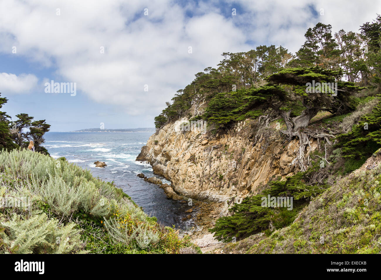 Big cyprus preserve hi-res stock photography and images - Alamy