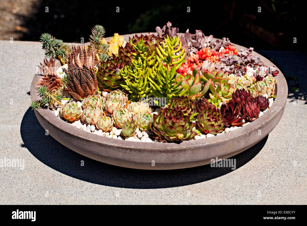 Ballarat District Australia / Ballarat Gardens in Spring 2014 Stock ...