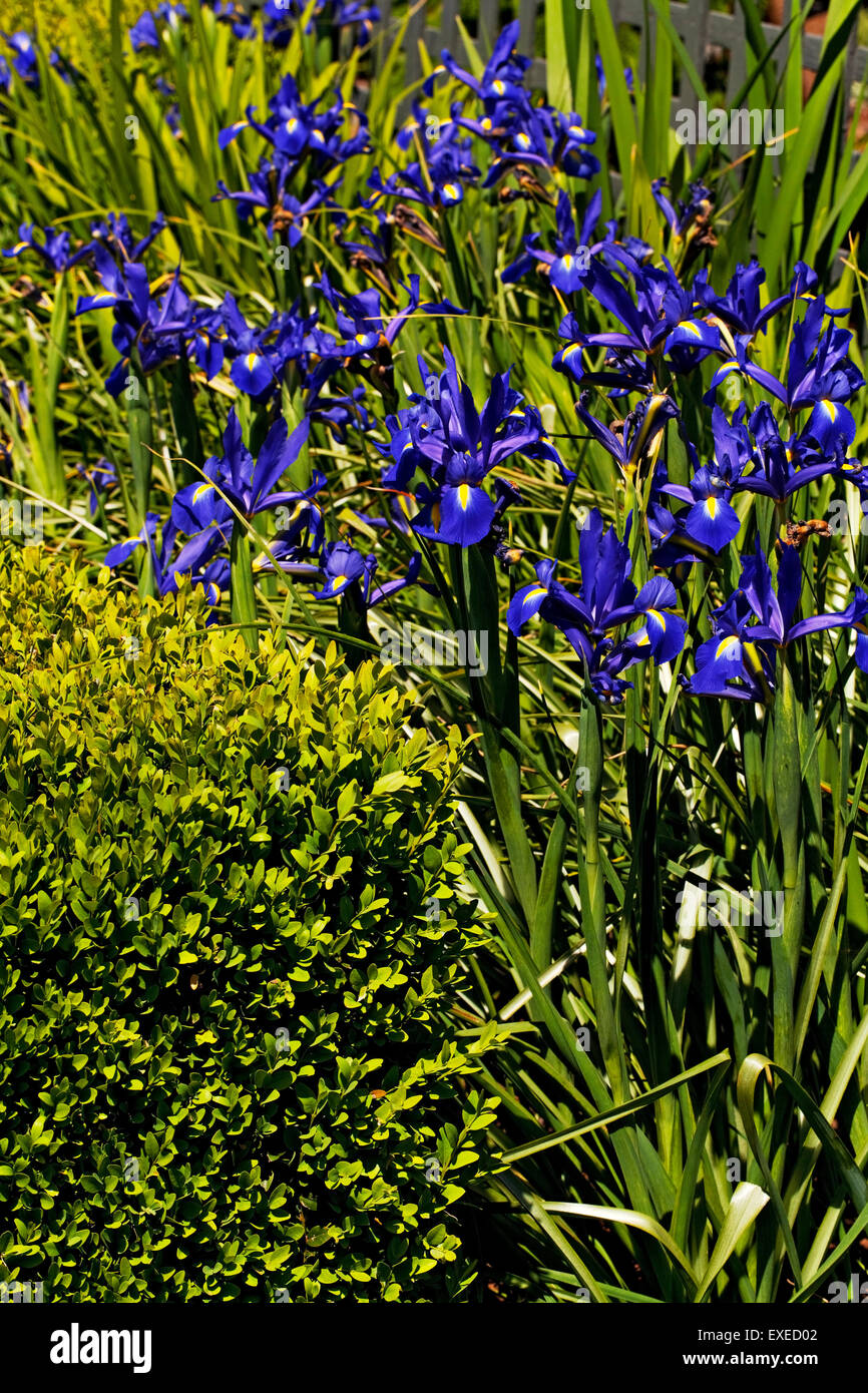 Ballarat District Australia / Ballarat Gardens in Spring 2014 Stock ...