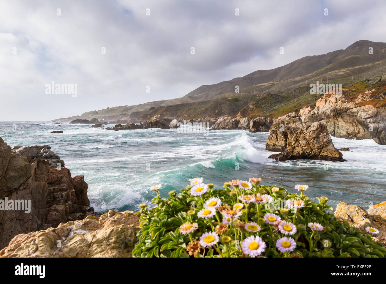 beautiful scene of the California coast with its classic dramatic ...