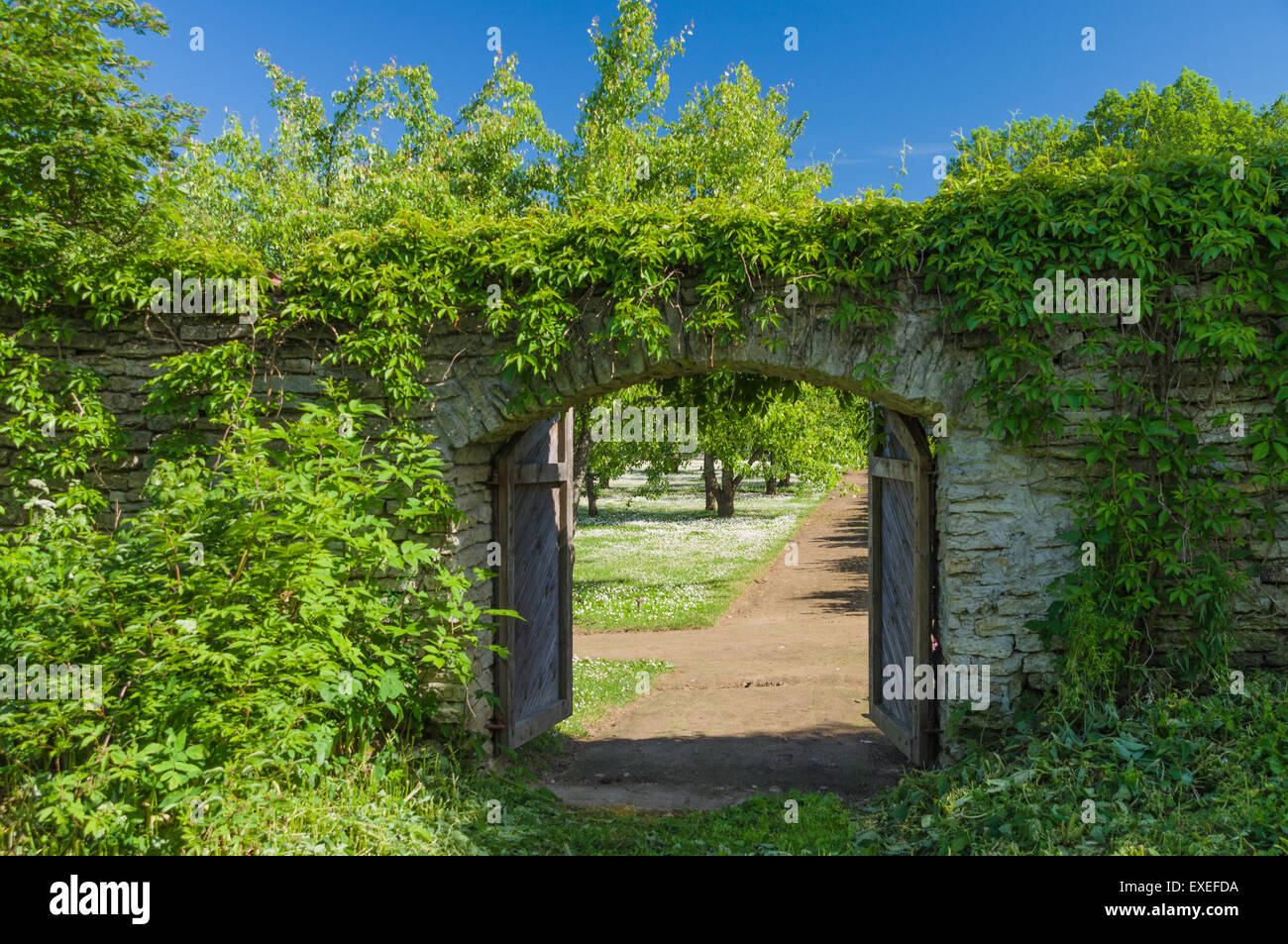 Ivy covered garden gate hi-res stock photography and images - Alamy