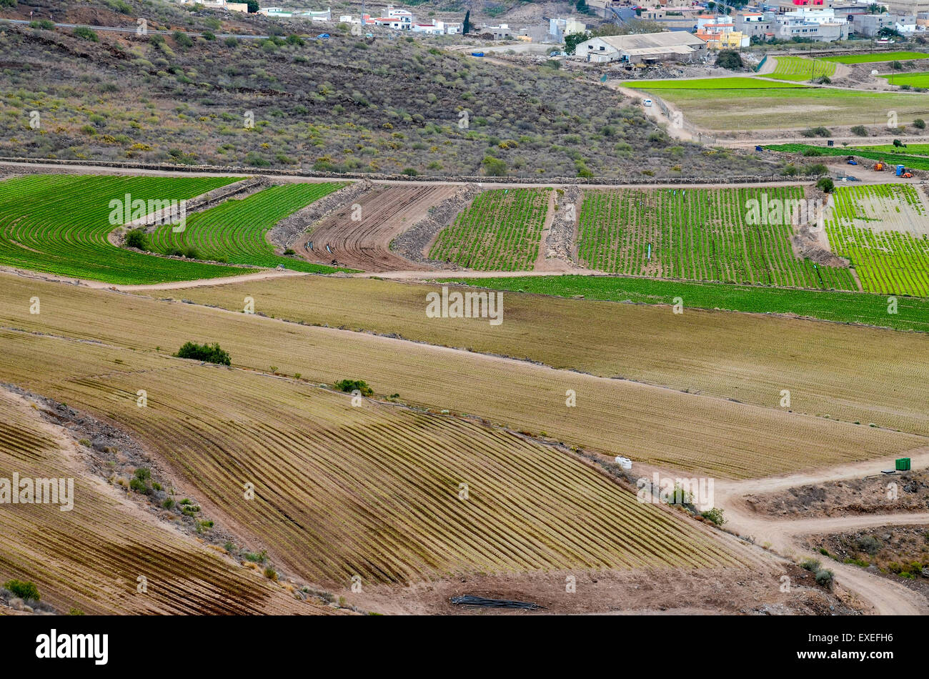 View of Cultivated Field Stock Photo - Alamy