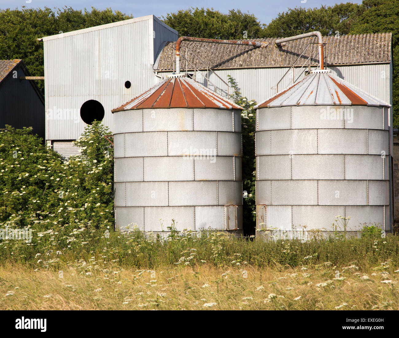 Old tanks hi-res stock photography and images - Alamy