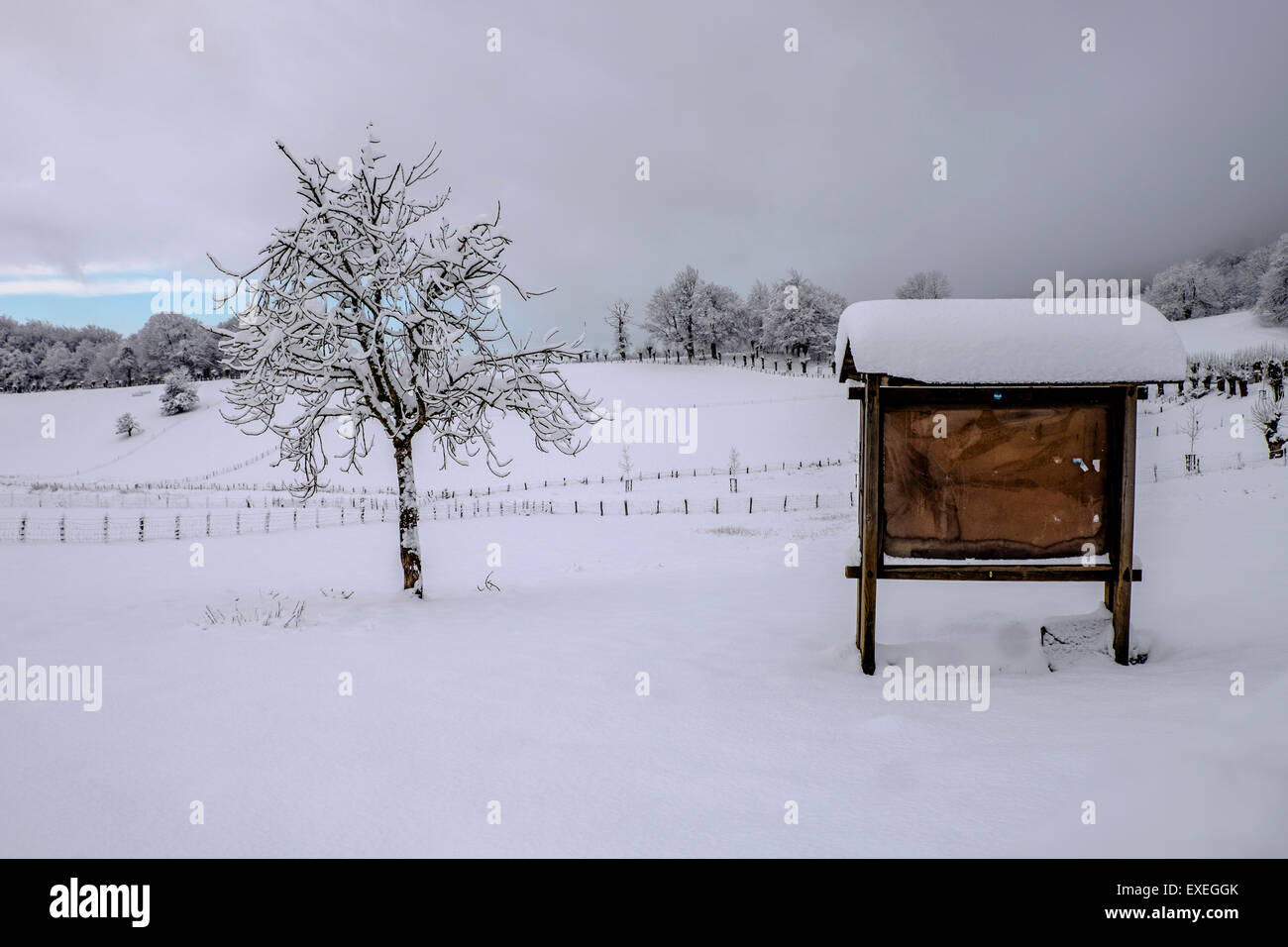 Orreaga Roncesvalles meadow snowed in winter. Navarre, Spain Stock ...