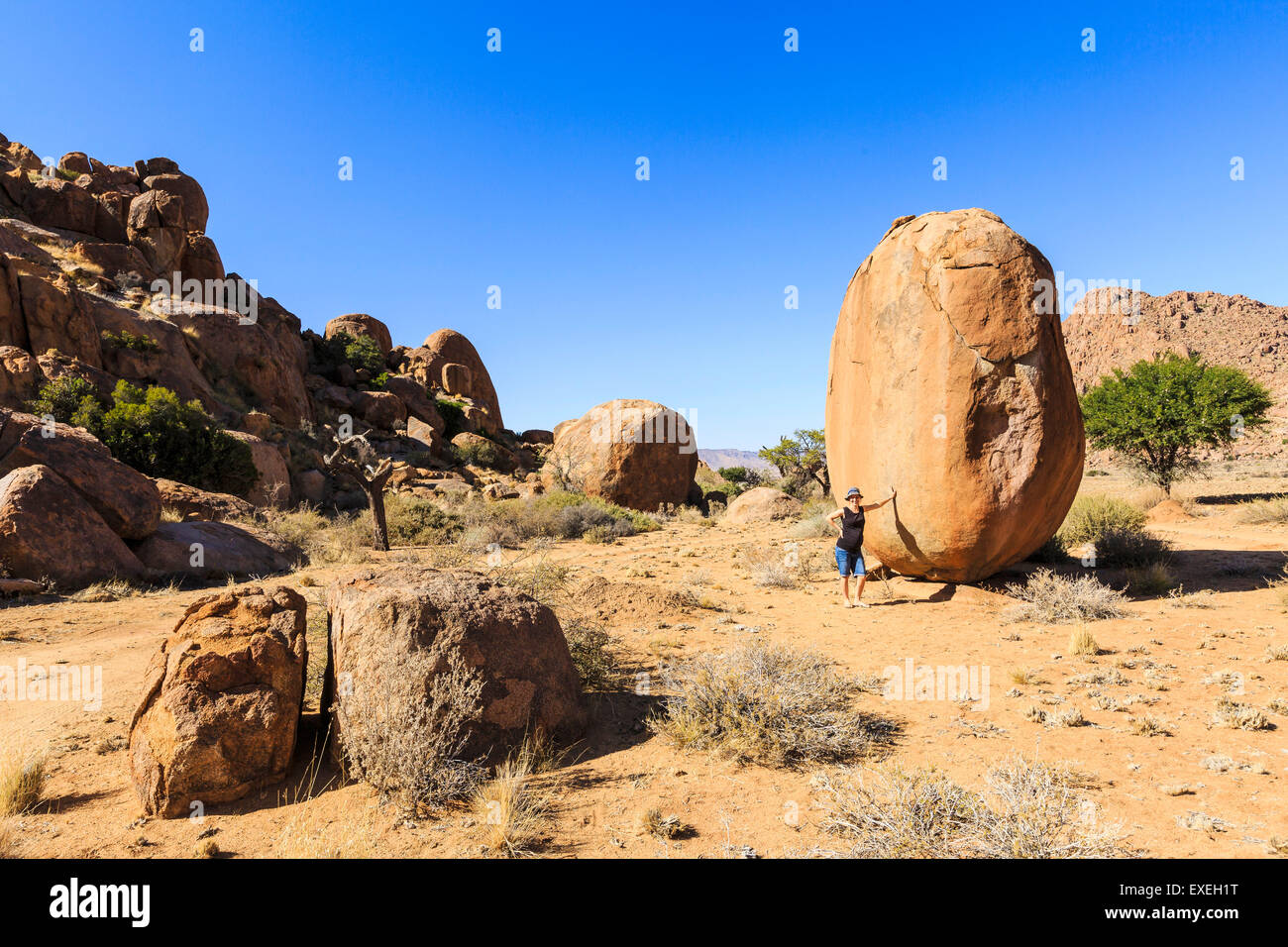 Formation of the egg hi-res stock photography and images - Alamy