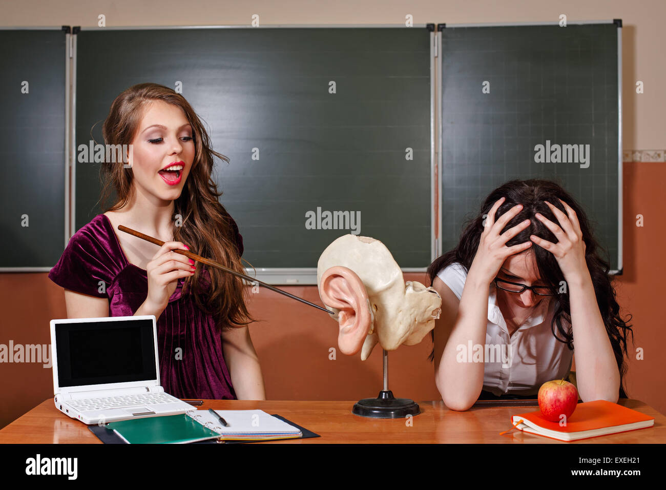 Education concept. Back to school. Pupil meets lesson on the structure ...