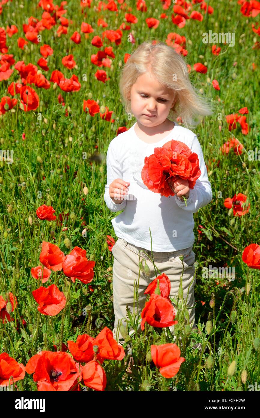 Person picking flowers hi-res stock photography and images - Alamy