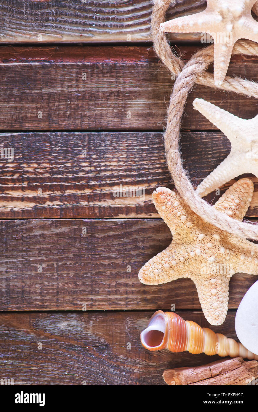 color sea shells and starfish, summer background Stock Photo - Alamy