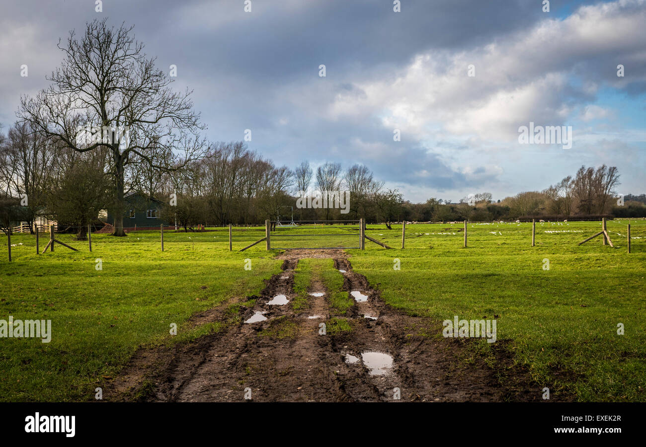 Muddy farm tracks hi-res stock photography and images - Alamy