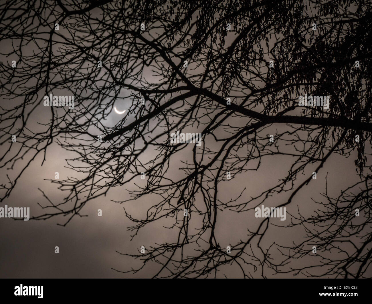 Partial solar eclipse through trees as seen from Oxford England on the ...