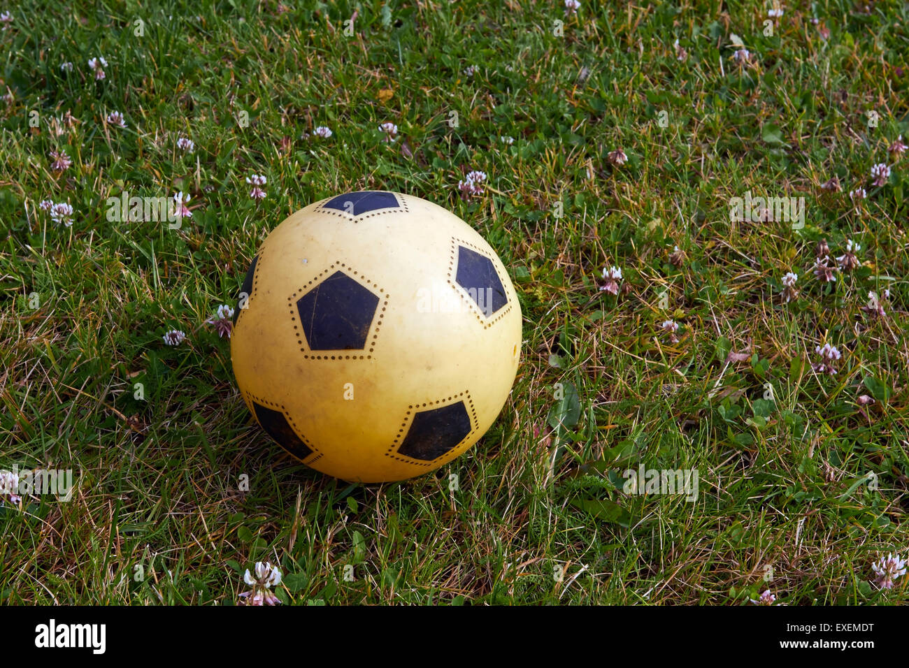 Football ball on grass hi-res stock photography and images - Alamy