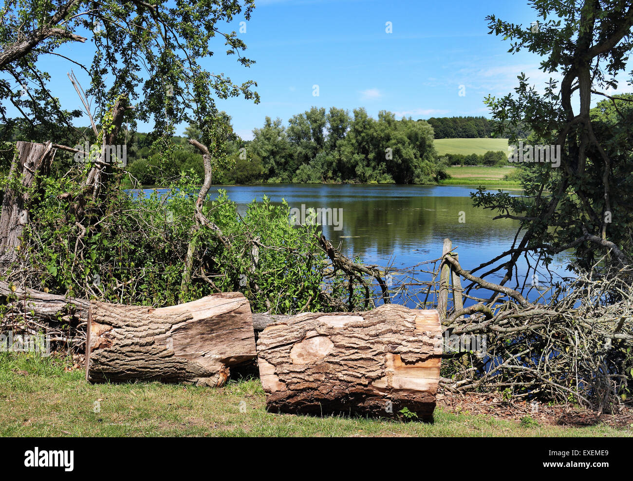 Lake on the river Misbourne in Buckinghamshire with cut tree trunks ...