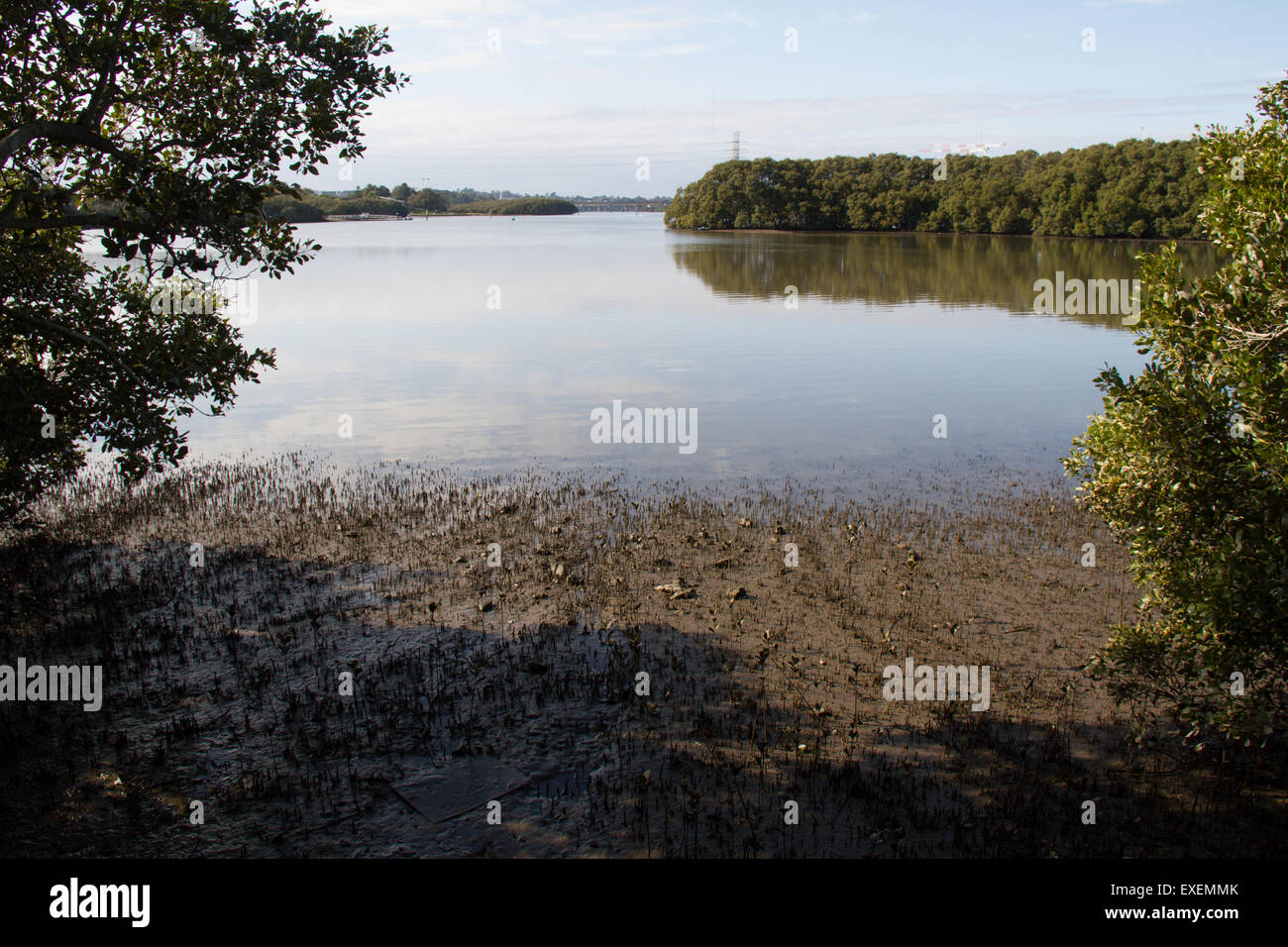 Ermington Bay on the Parramatta River in Western Sydney, Australia ...