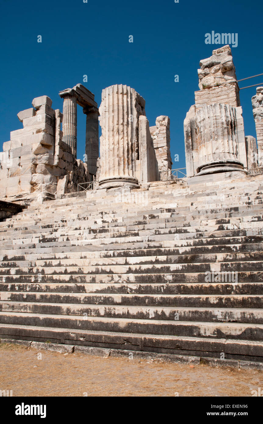 Didyma was the most significant sanctuary of the ancient Greek city ...