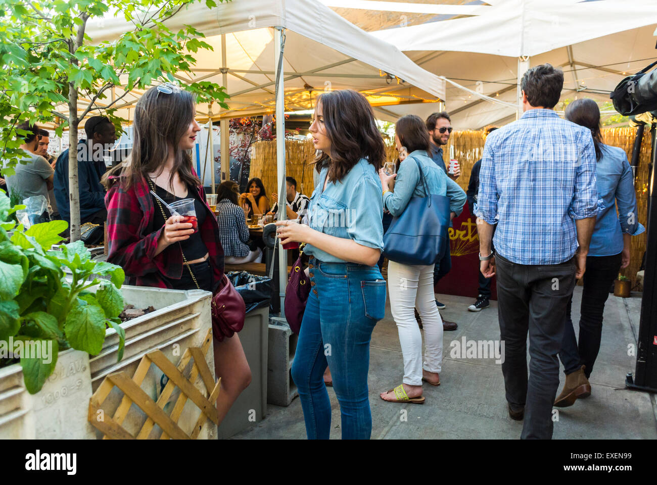New York City, NY, USA, young people drinking, Trendy People Partying ...